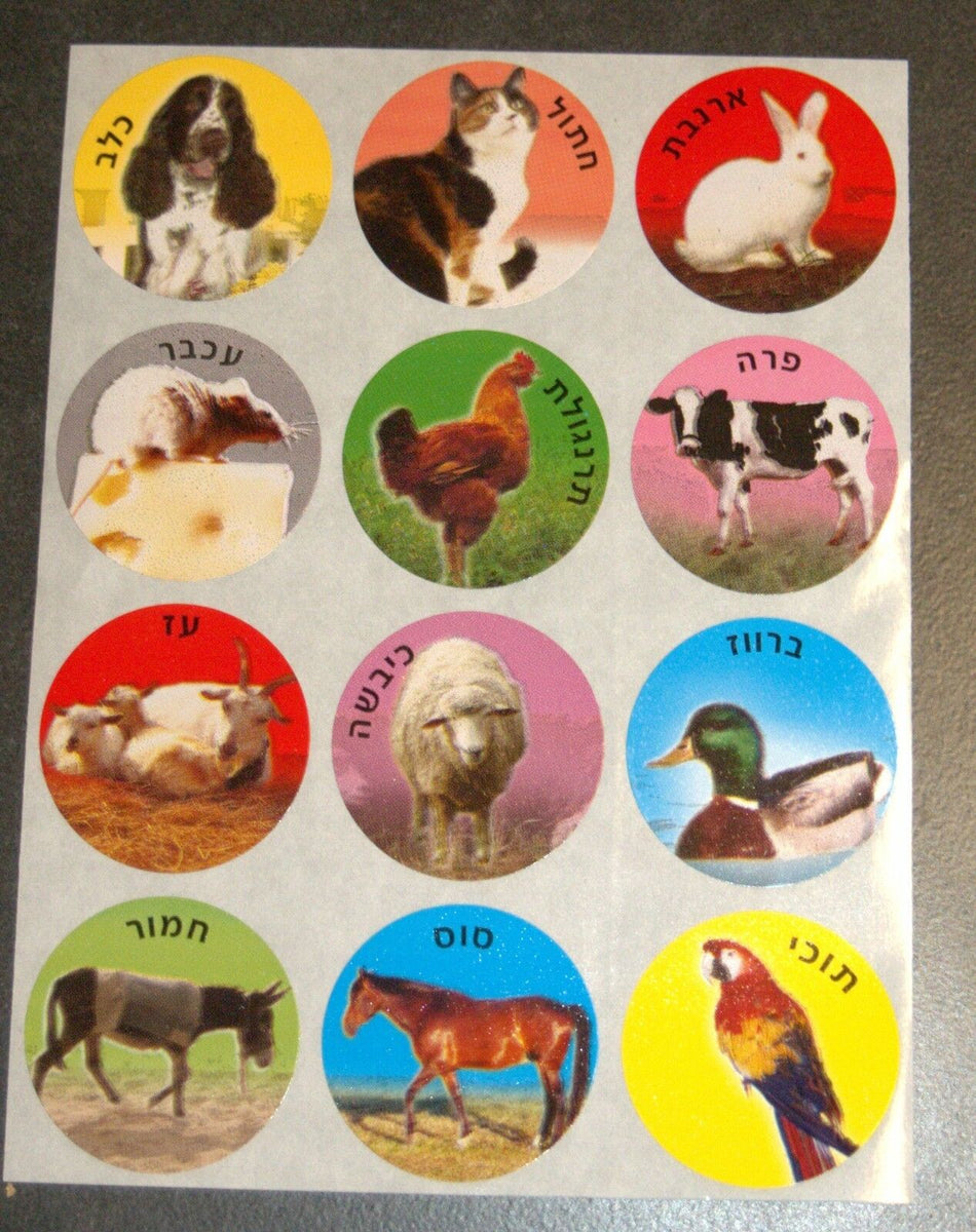 Animal Images Hebrew Names 120 Stickers Children Teaching Aid Israel ...